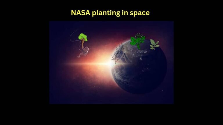 How NASA Growing Plants In Space Names & Reason - Signup Trending ...